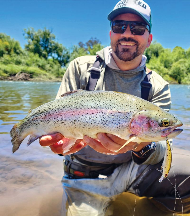 Murray Cod - Species Guide